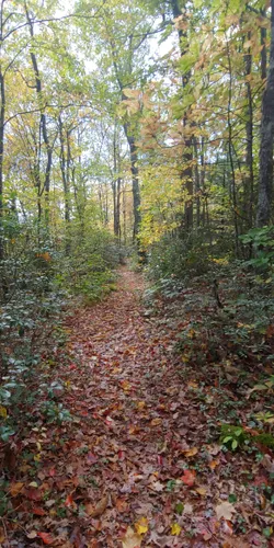 Best Backpacking Trails in Shady Valley | AllTrails