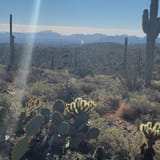 Dixie Mine Trail, Arizona - 147 Reviews, Map | AllTrails