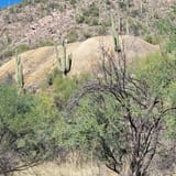 Dixie Mine Trail, Arizona - 147 Reviews, Map | AllTrails