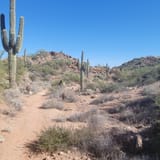 Dixie Mine Trail, Arizona - 147 Reviews, Map | AllTrails