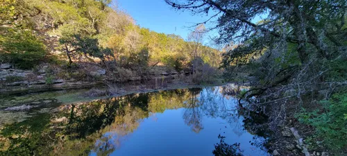 Los mejores senderos y rutas en Lost Maples State Natural Area | AllTrails