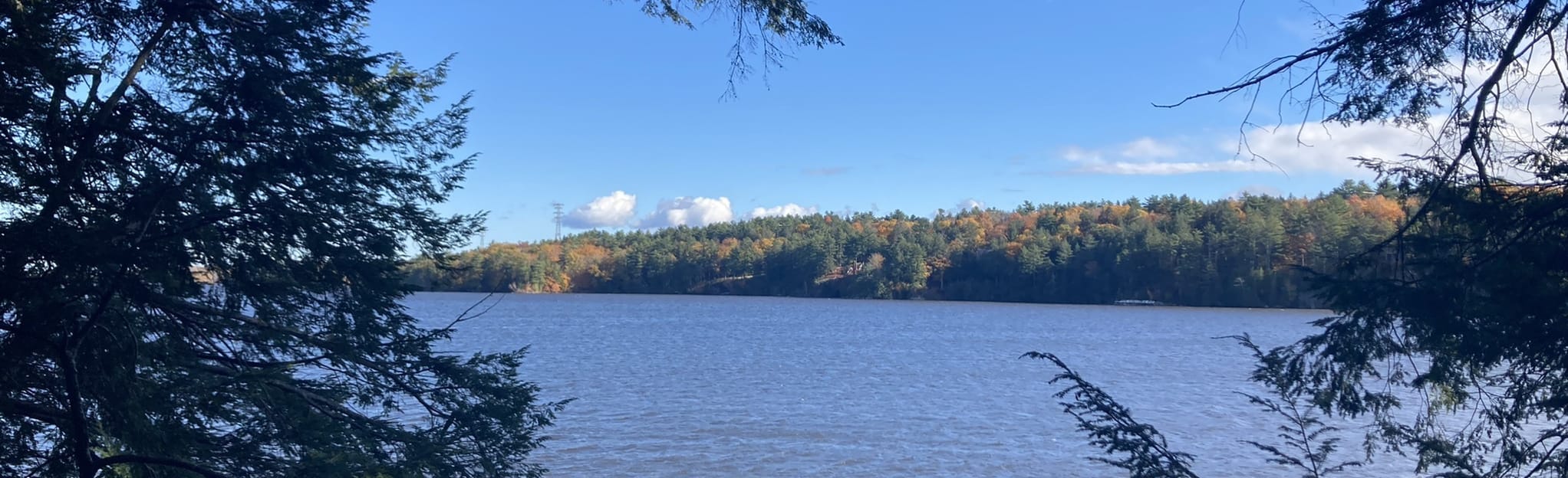 Butler Head Preserve: 85 Reviews, Map - Maine | AllTrails