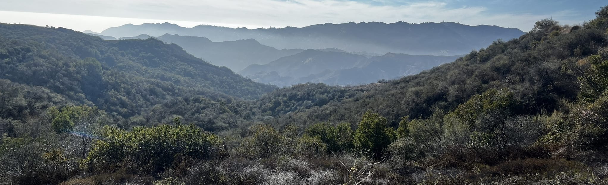 Temescal Ridge Trail, California - 254 Reviews, Map | AllTrails