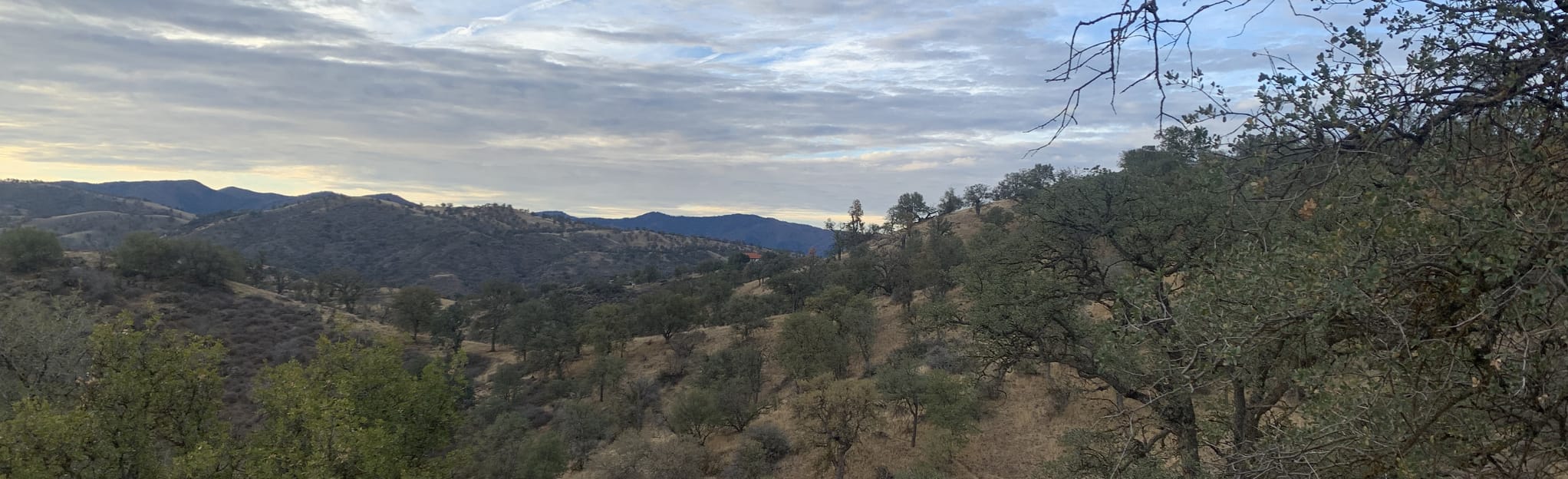 Longhorn Trail, California - 14 Reviews, Map | AllTrails