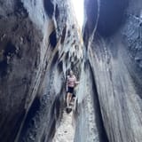 Burro Wash Trail, Utah - 222 Reviews, Map | AllTrails