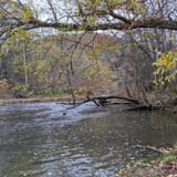 Blue Bend Loop Trail, West Virginia - 125 Reviews, Map | AllTrails