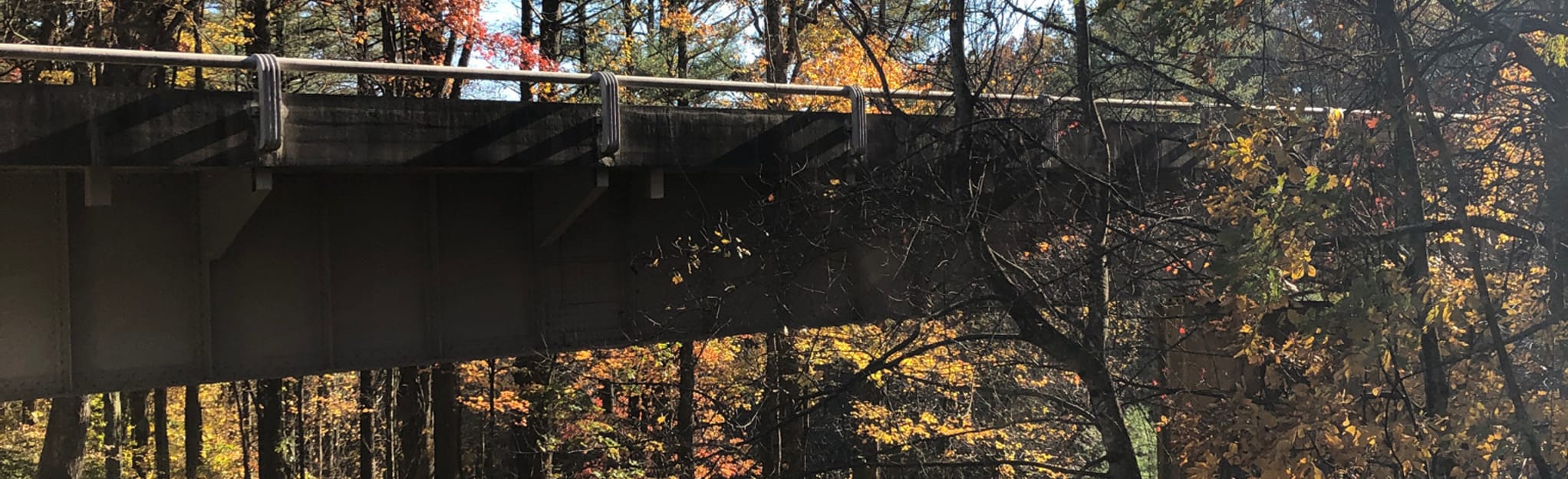 Round Meadow Creek Trail: 57 Reviews, Map - Virginia | AllTrails