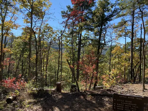 10 Best Waterfall Trails in South Mountains State Park | AllTrails