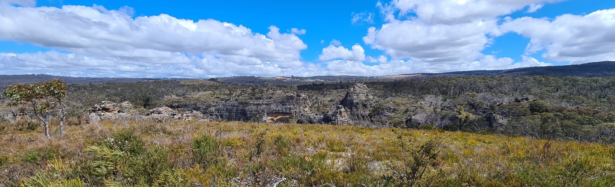 Gooch's Crater Trail, New South Wales, Australia - 81 Reviews, Map ...