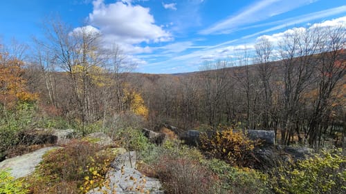 Moshannon State Forest: Die 10 besten Wanderungen und Routen | AllTrails