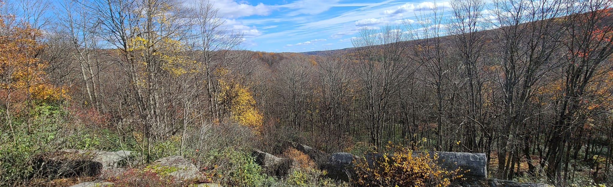 Mineral Spring Area, Pennsylvania - 14 Reviews, Map | AllTrails