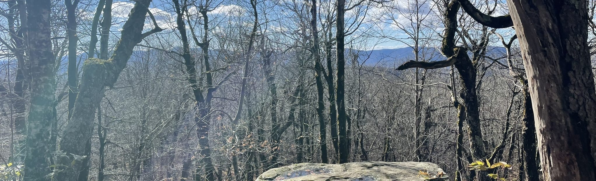 Halcott Mountain, New York - 724 Reviews, Map | AllTrails