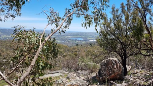 2023 Best 10 Forest Trails in Mount Alexander Regional Park | AllTrails