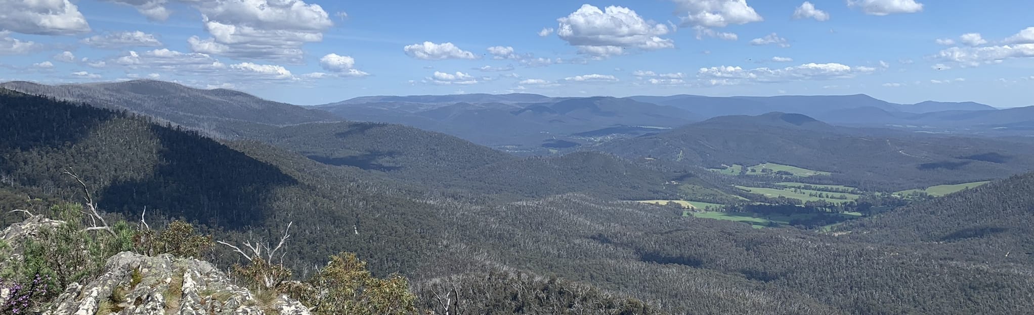 Razorback Track, Victoria, Australia - 60 Reviews, Map | AllTrails