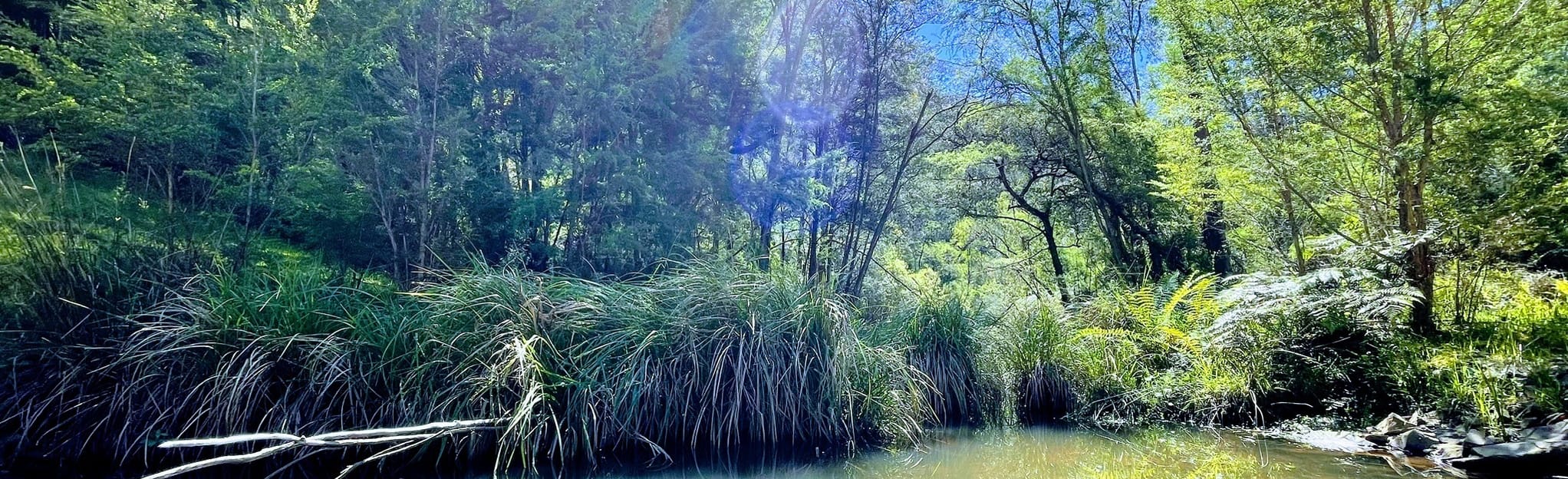 Reefton Goldfields, Observation Road, and Peninsula Track Loop ...