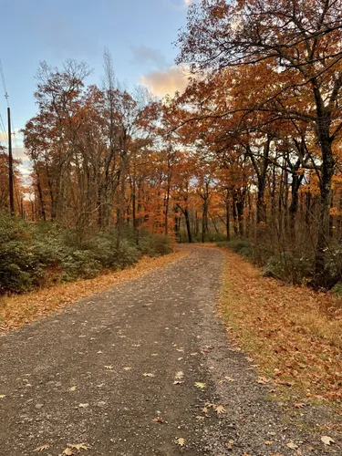 Best Hikes and Trails in Minnewaska State Park Preserve: Sam's Point ...