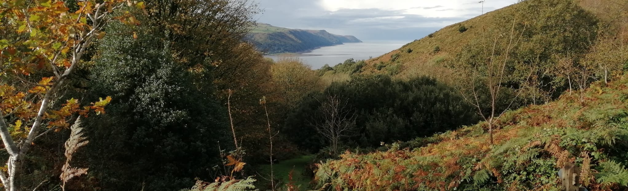 Bossington Hill Circular, Somerset, England - 42 Reviews, Map | AllTrails