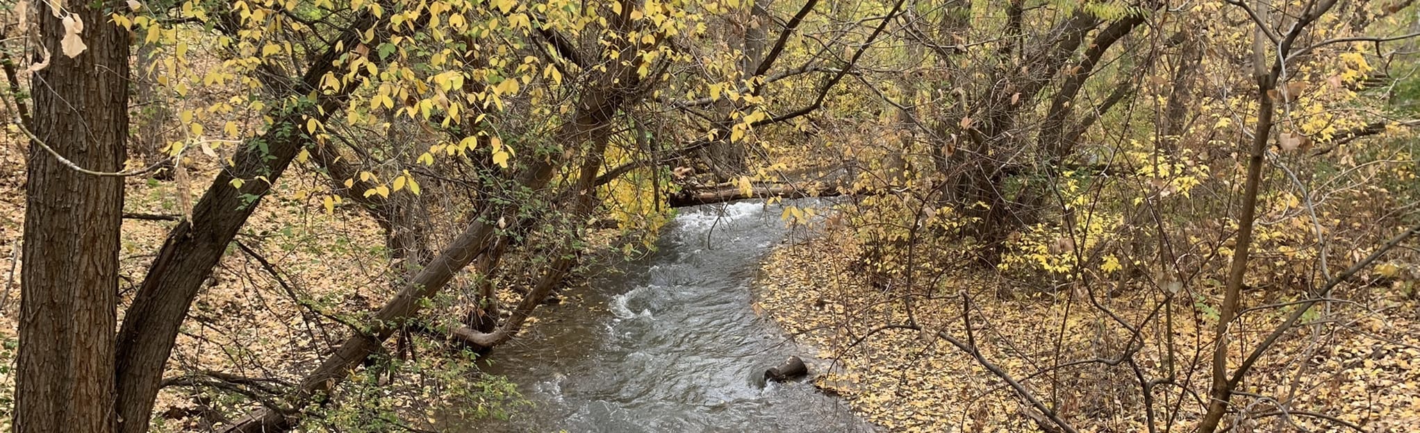 Hidden Hollow Walking Loop: 24 Reviews, Map - Utah | AllTrails