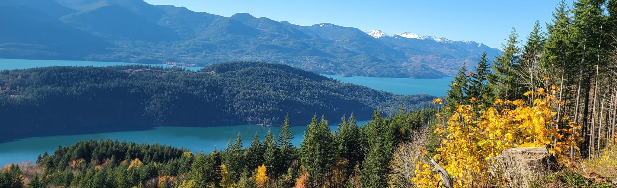 Sasquatch Lookout Trail: 6 Reviews, Map - British Columbia, Canada ...