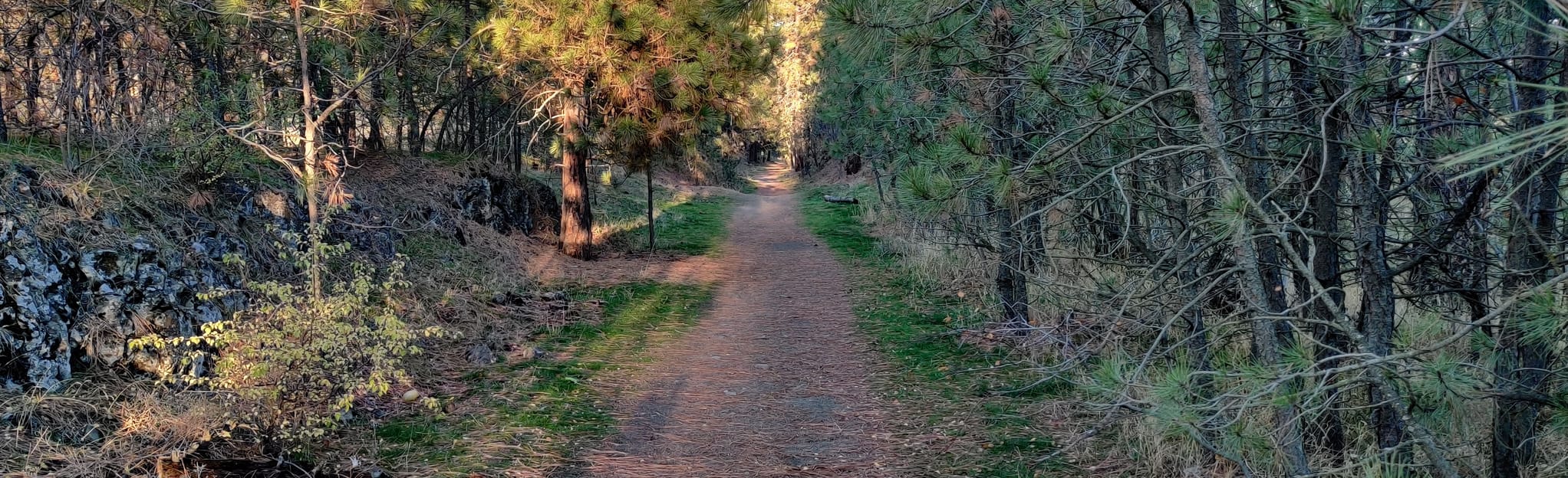 Garden Springs Trolley Trail: 63 Reviews, Map - Washington | AllTrails