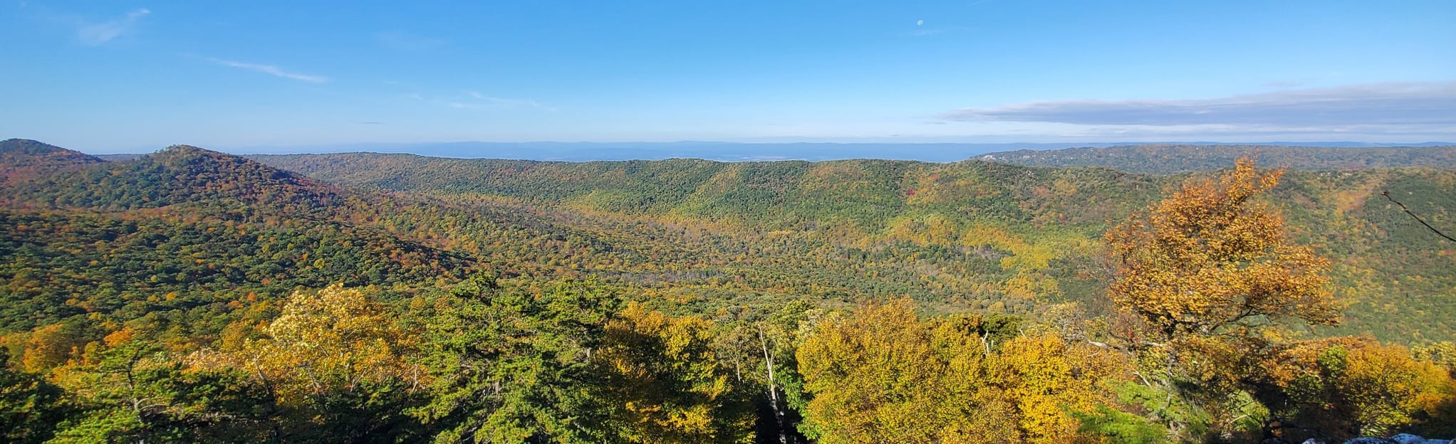Duncan Knob via Massanutten Trail, Virginia - 28 Reviews, Map | AllTrails
