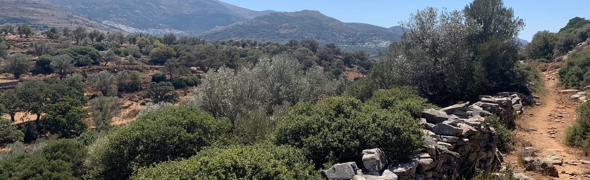 Chalki - Moni: 66 Reviews, Map - Naxos, Greece | AllTrails