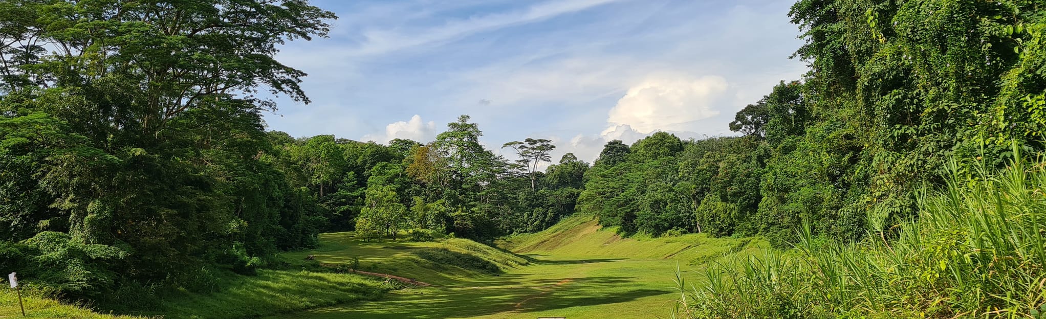 Kranji Railway Corridor: 1 325 Zdjęcia – Region Centralny, Singapur ...