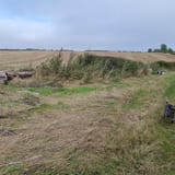 Teversal, Silverhill Wood, and Pleasley Pit, Nottinghamshire, England ...