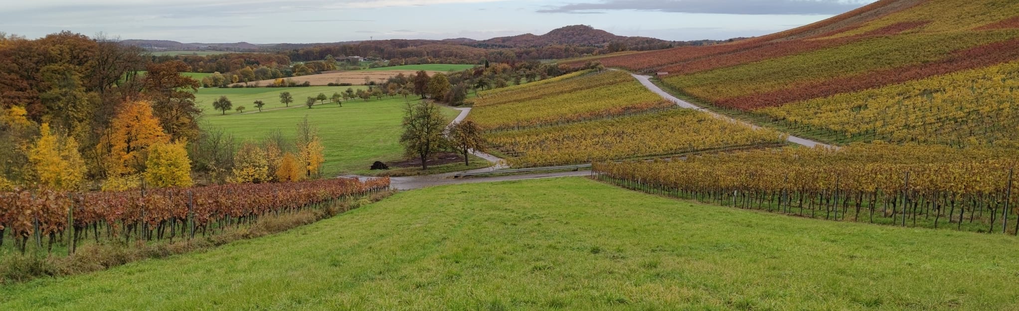 Von Diefenbach zum Aussichtspunkt König - Baden-Württemberg, Germany ...