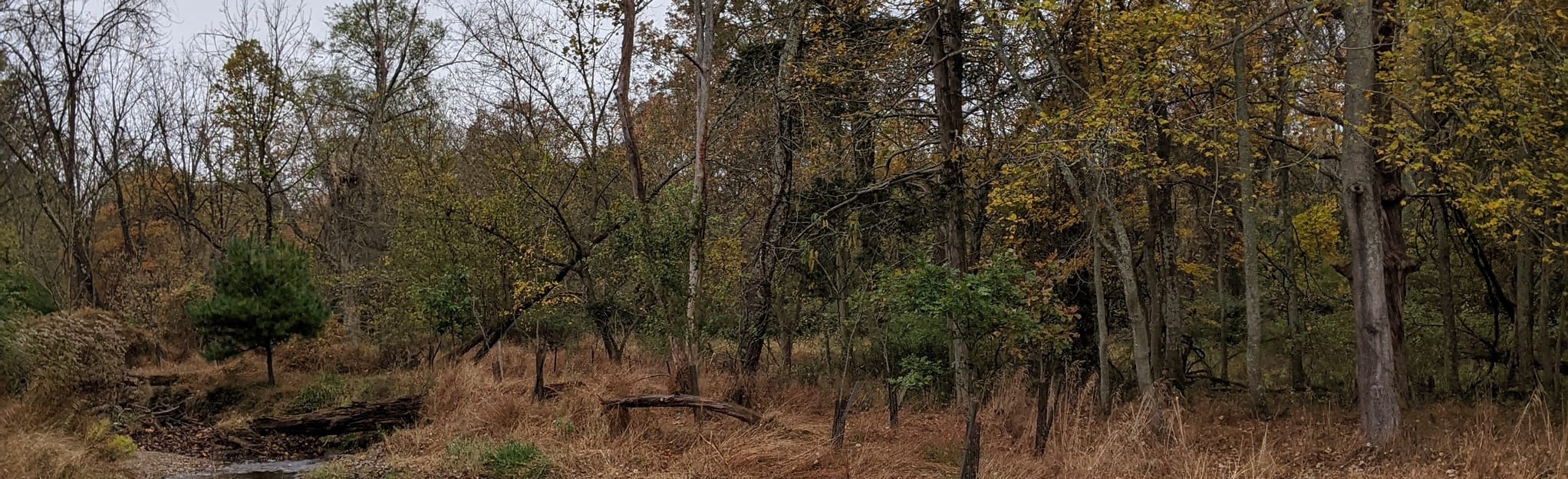 Clarksburg Village Walking Trail: 259 Reviews, Map - Maryland | AllTrails