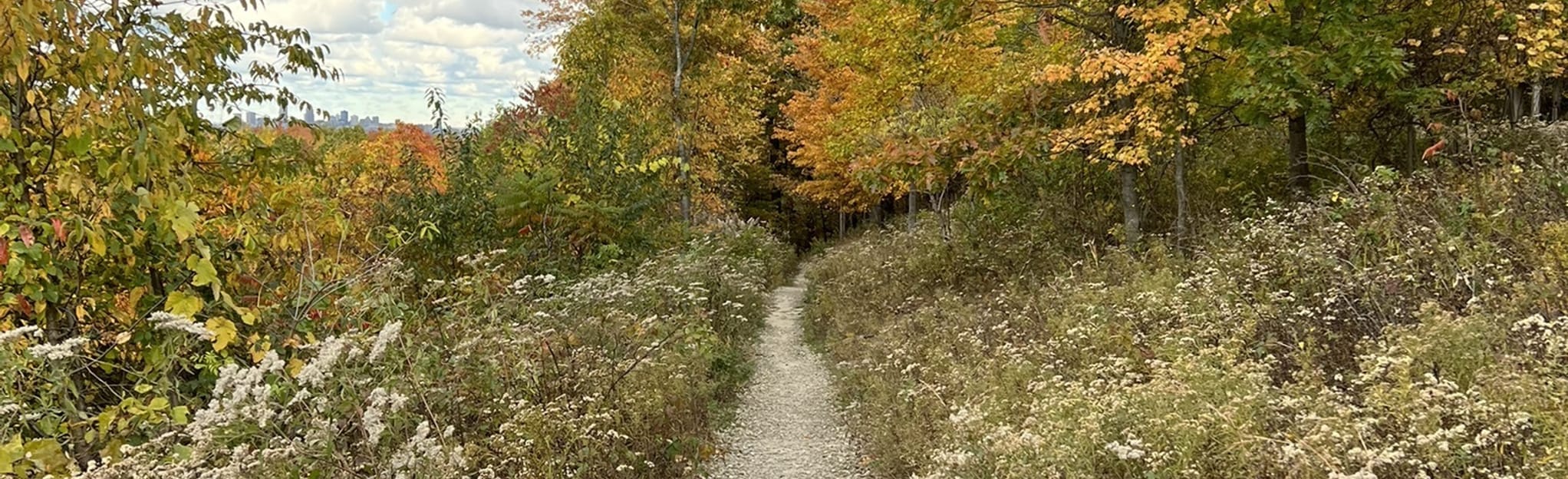 Lookout Ridge Loop and Skyline Overlook: 560 Reviews, Map - Ohio ...