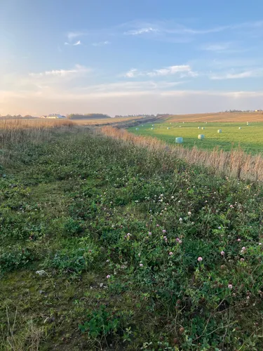 Best City Walk Trails in Aars | AllTrails