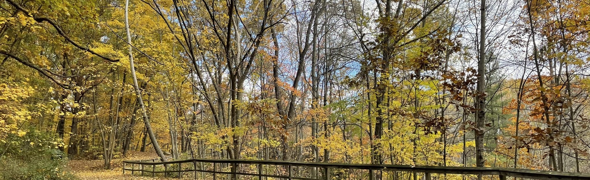 Acorn and Hemlock Loop Trail: 39 Reviews, Map - Michigan | AllTrails