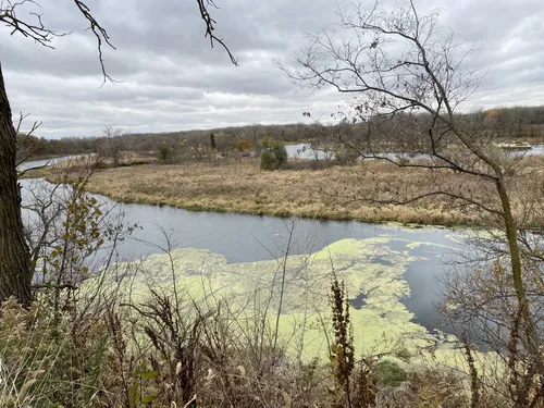 Best Hikes and Trails in Dead Timber State Recreation Area | AllTrails