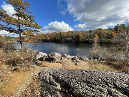 10 Best Hikes and Trails in Wawayanda State Park | AllTrails