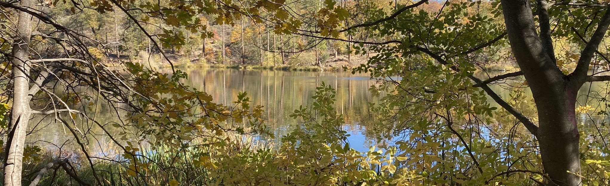 Manzanita Lake Trail - California | AllTrails