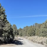 Wheeler Pass OHV Trail, Nevada - 219 Reviews, Map | AllTrails