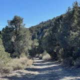 Wheeler Pass OHV Trail, Nevada - 219 Reviews, Map | AllTrails