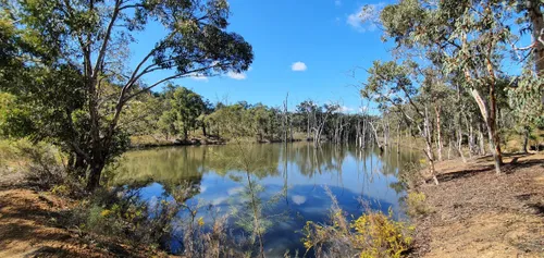 Best Hikes and Trails in Paruna Wildlife Sanctuary | AllTrails