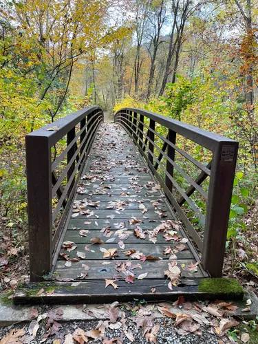 Best Hikes and Trails in Jumping Branch | AllTrails