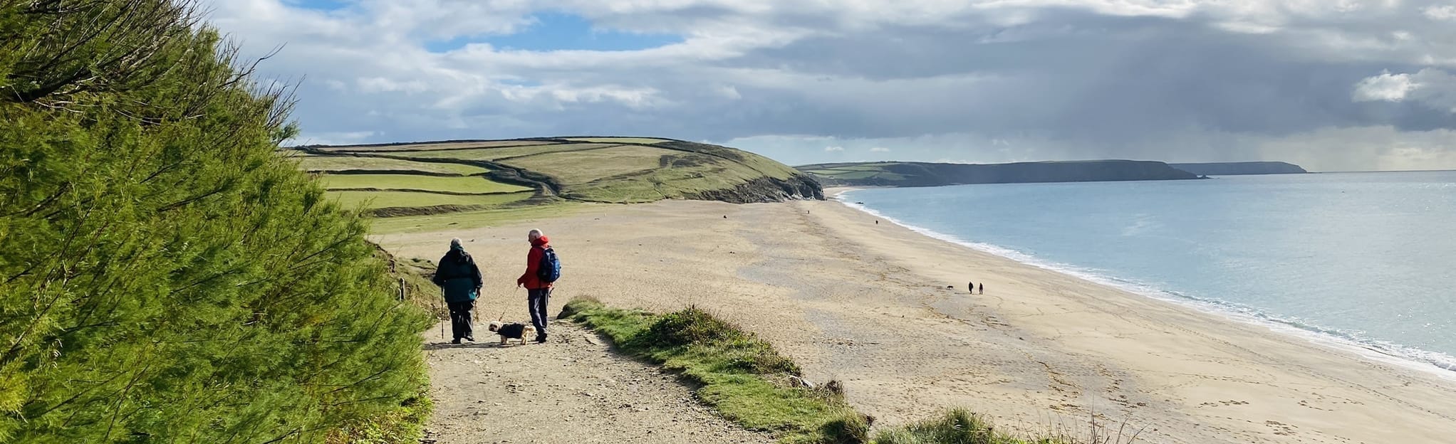 The Loe Circular: 55 Reviews, Map - Cornwall, England | AllTrails