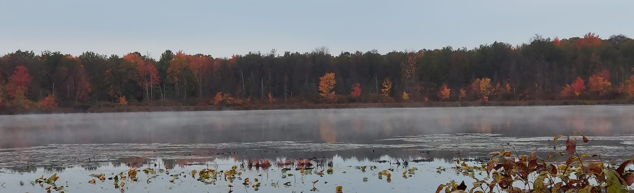 Little Tom Trail, Michigan - 5 Reviews, Map | AllTrails