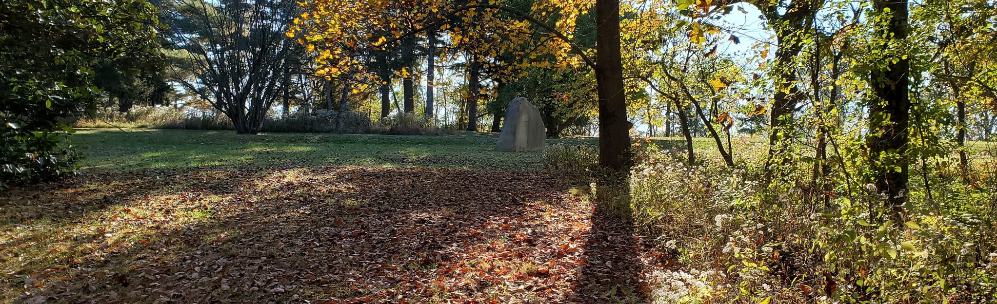 Deer Trace, Sycamore Draw, Wildflower, Owl Hollow, and Bunny Rim Loop ...