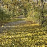 Prairie Duneland Trail, Indiana - 453 Reviews, Map | AllTrails