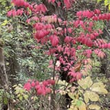 Prairie Duneland Trail, Indiana - 453 Reviews, Map | AllTrails