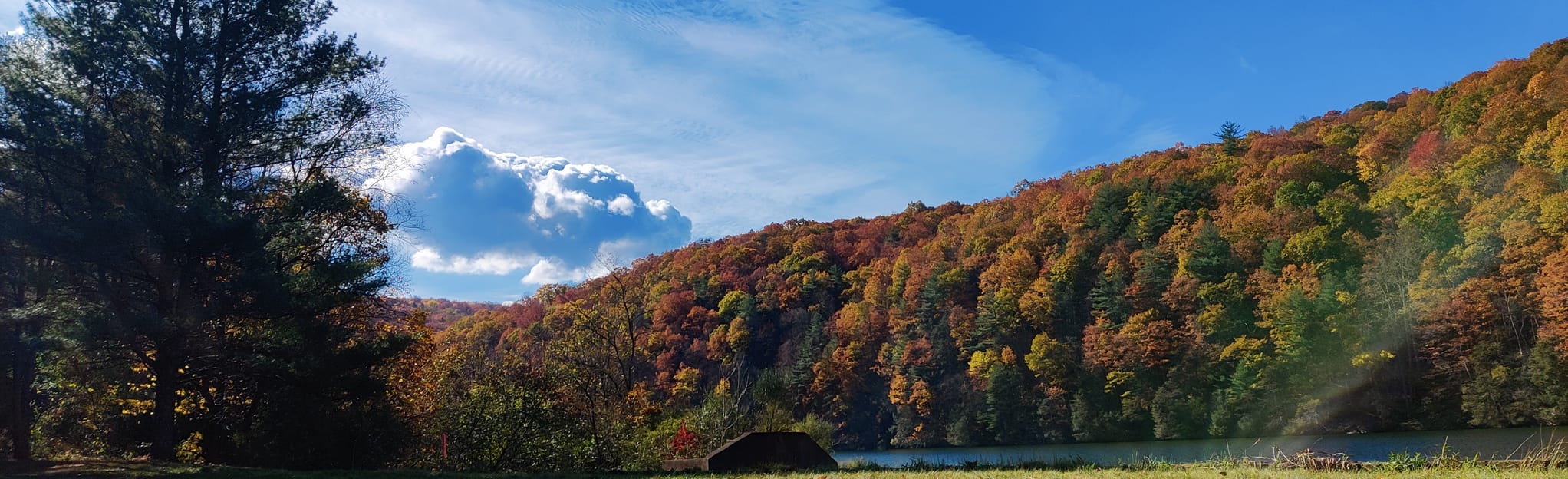 Raccoon and Bluebird Loop: 8 Reviews, Map - Pennsylvania | AllTrails