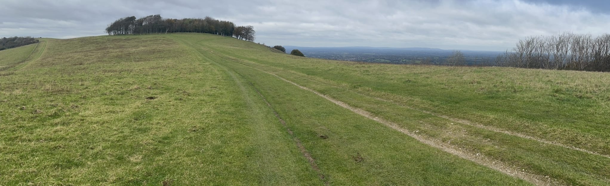 Dial Post and Chantonbury Circular: 0 Reviews, Map - West Sussex ...