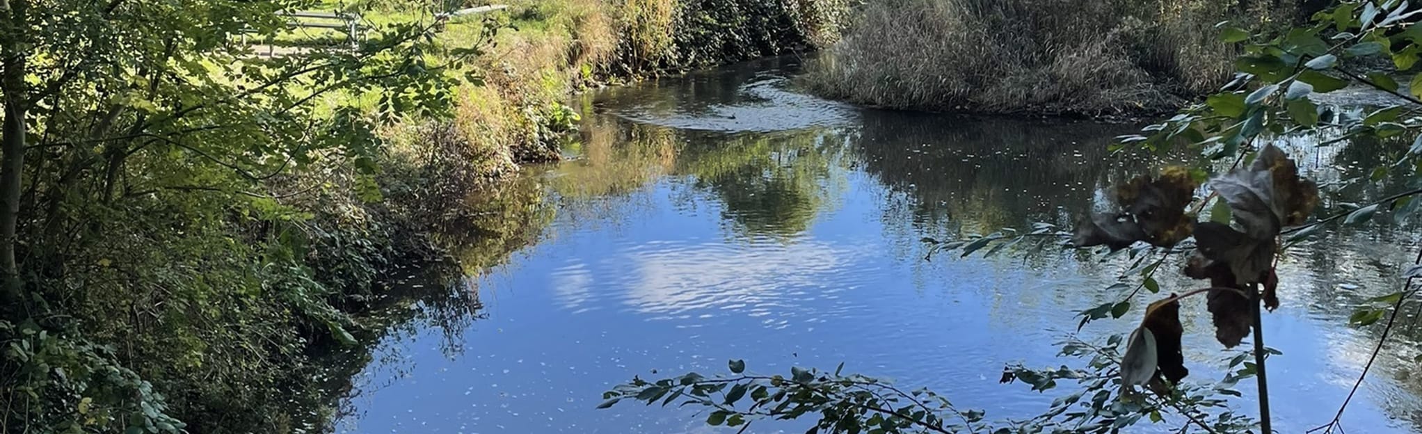 Rea Brook Walk, Shropshire, England - 22 Reviews, Map | AllTrails