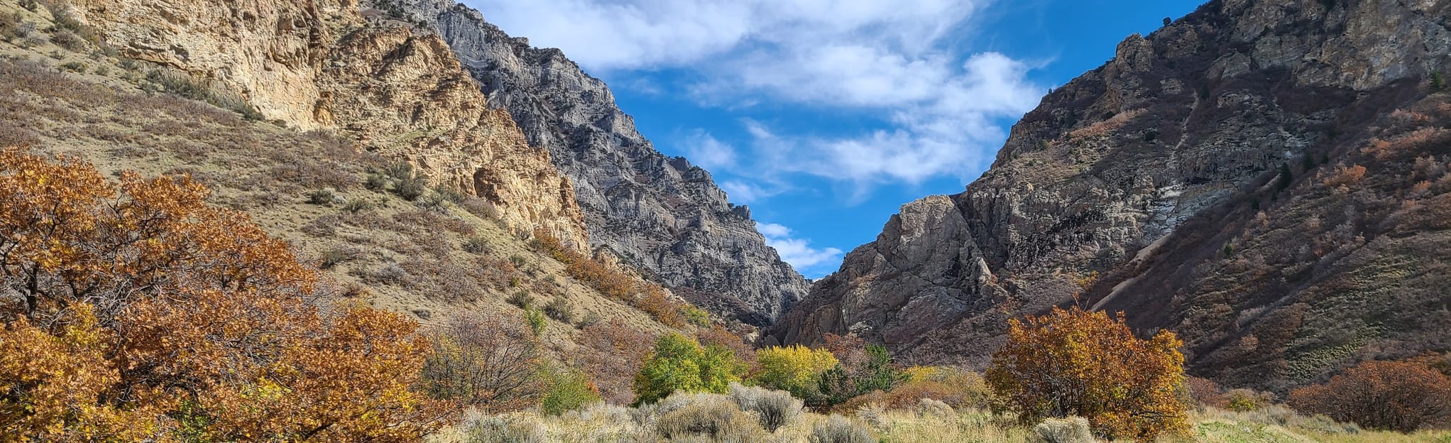 Rock Canyon Cave via Rock Canyon Trail - Utah | AllTrails