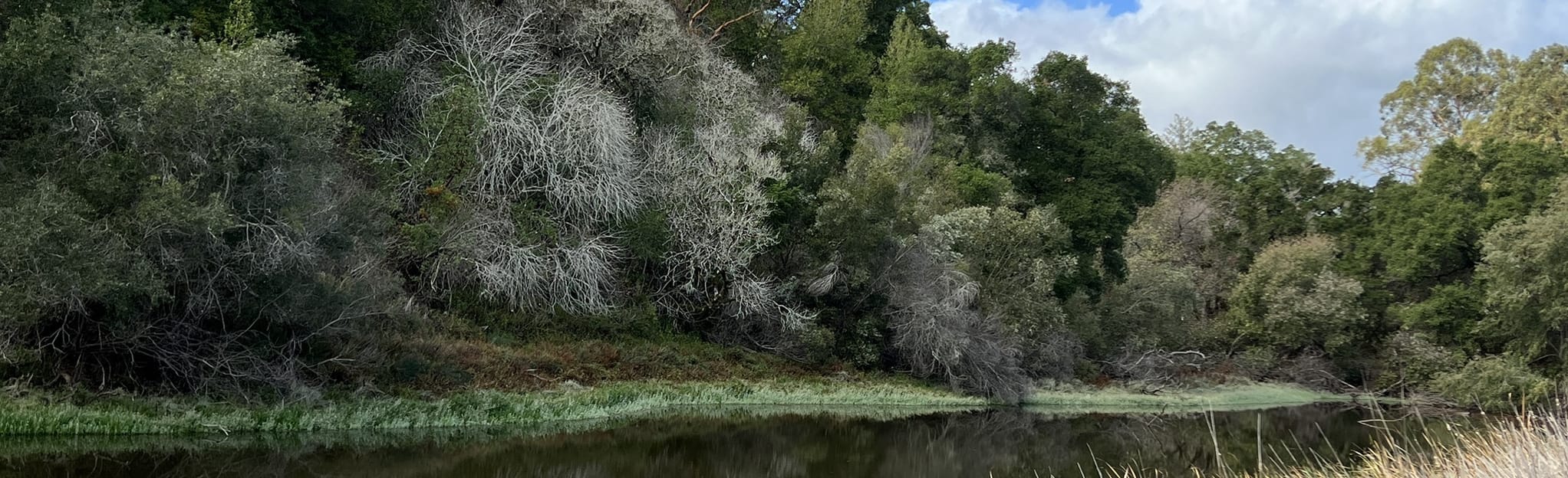 Spring Ridge, Lost Trail, Eagle Trail Loop, California - 317 Reviews ...